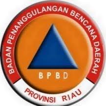 BPBD Riau Ingatkan Potensi Karhutla di Wilayah Pesisir Riau